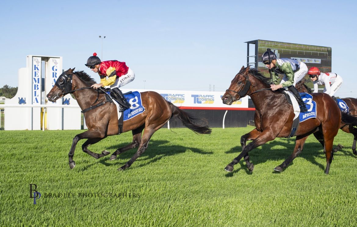 Let’s Go Again Dominates at Kembla for a Home Track Win - Kerry Parker ...
