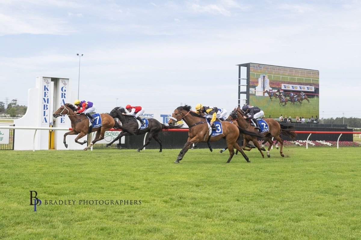 Tom Cruising Records Fourth Win After Saluting Back to Back at Kembla ...