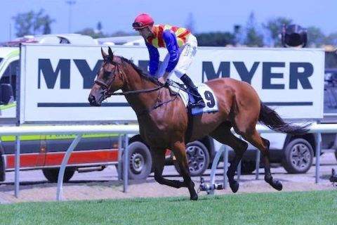SUPER MARE - Hickman Racing