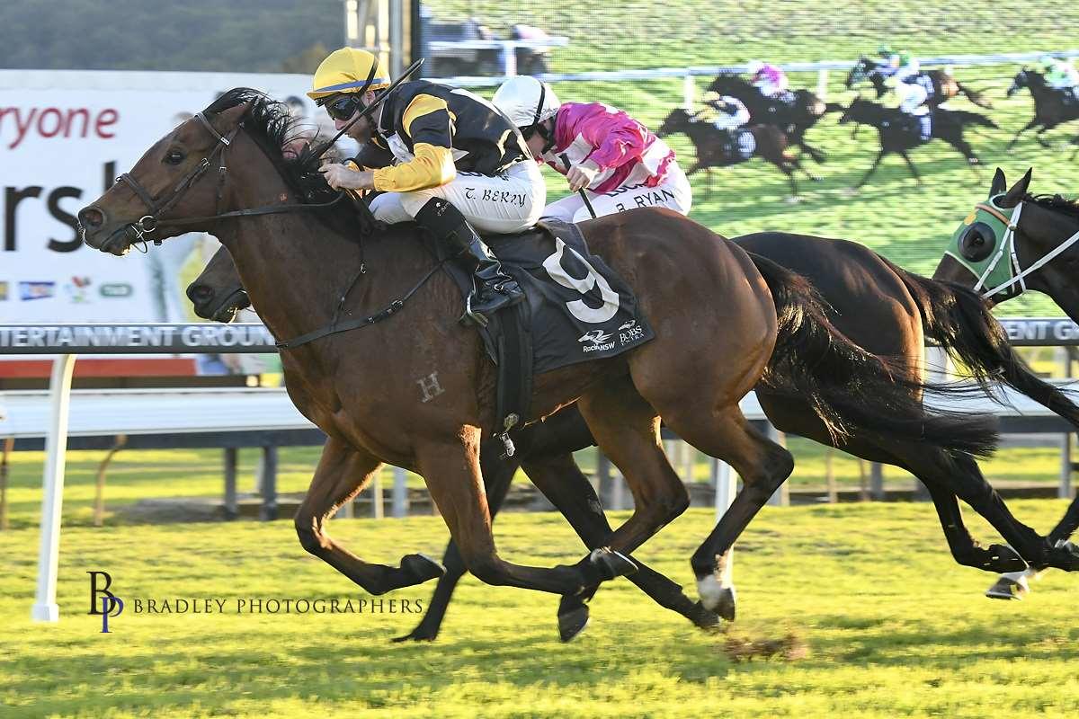 A Family Affair - July Winners at Gosford - Hickman Racing