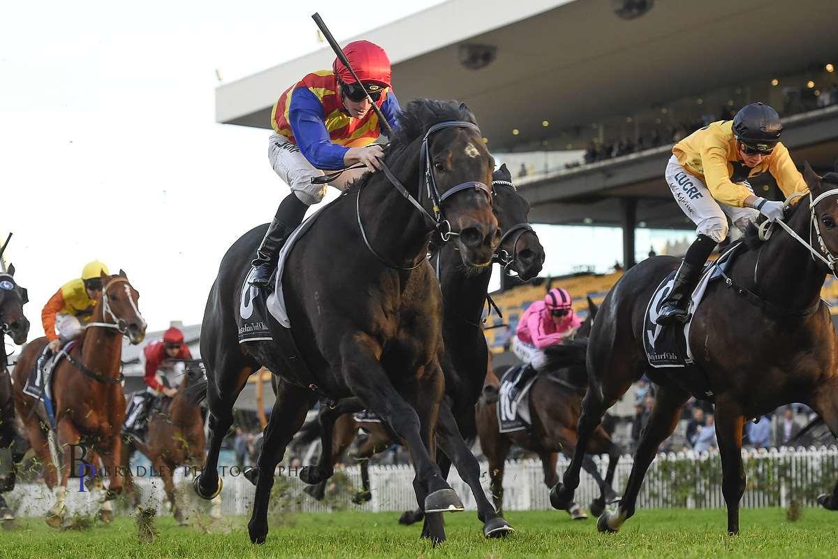 METROPOLITAN WINNERS FOR THE FIRST WEEK OF WINTER - Hickman Racing