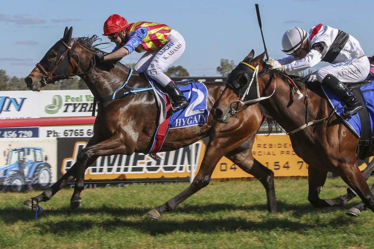 HIghton Wins - Hickman Racing