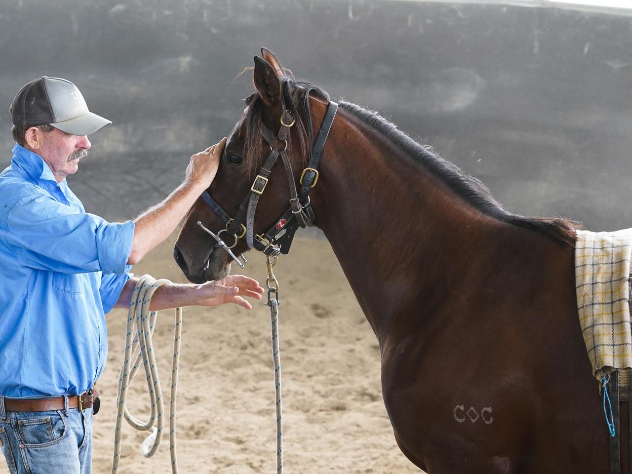 New Filly doing well at the Breakers - Hickman Racing