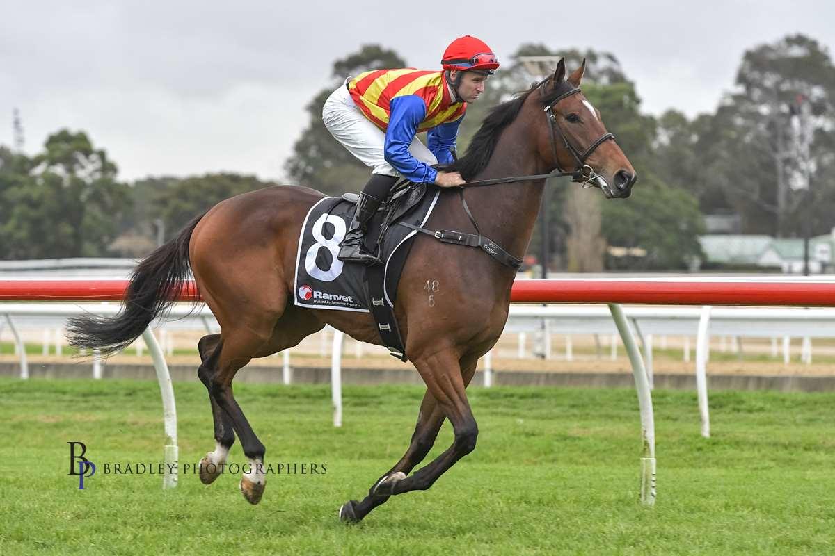 Winners in June 2020 - Hickman Racing