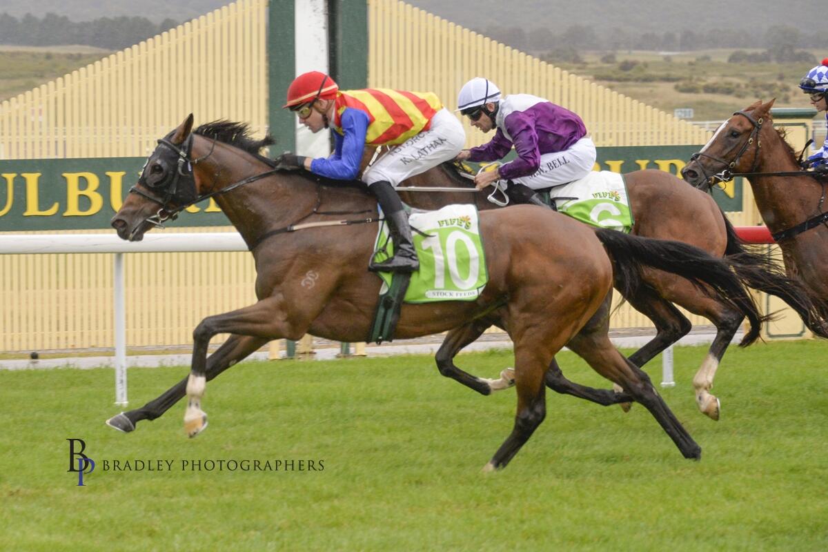 Stable News - Hickman Racing