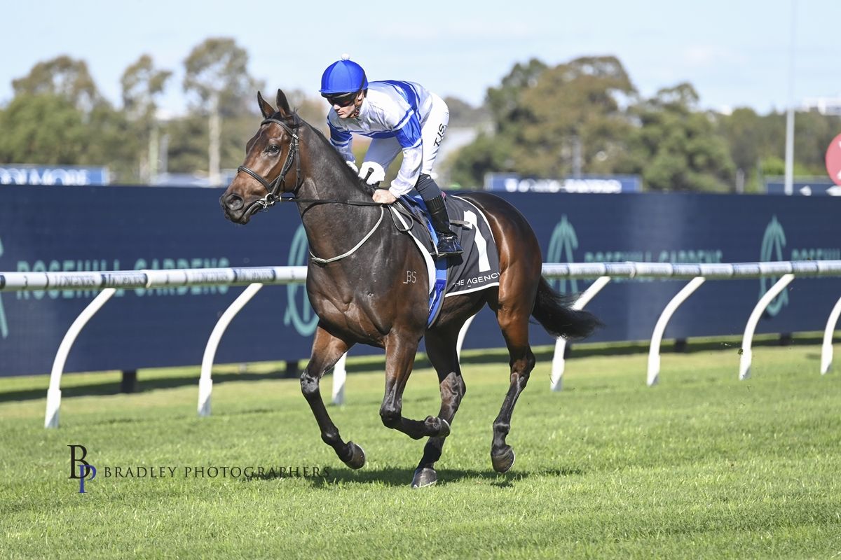 Wagga Winners - Hickman Racing Wagga Winners - Hickman Racing
