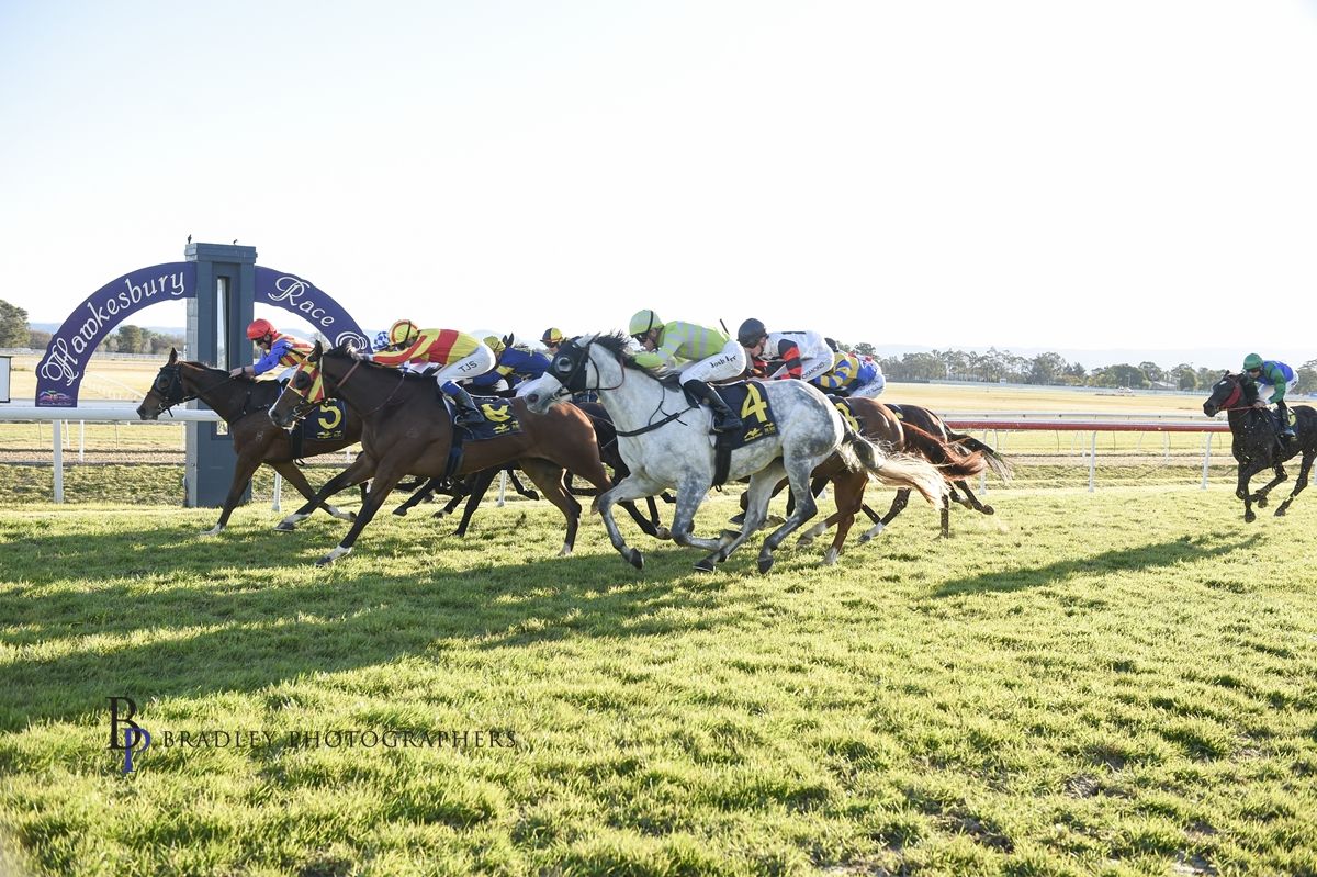 Stable News - Hickman Racing