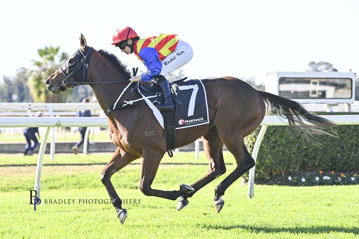 Three Wins in a Row For Tiger Town - Hickman Racing