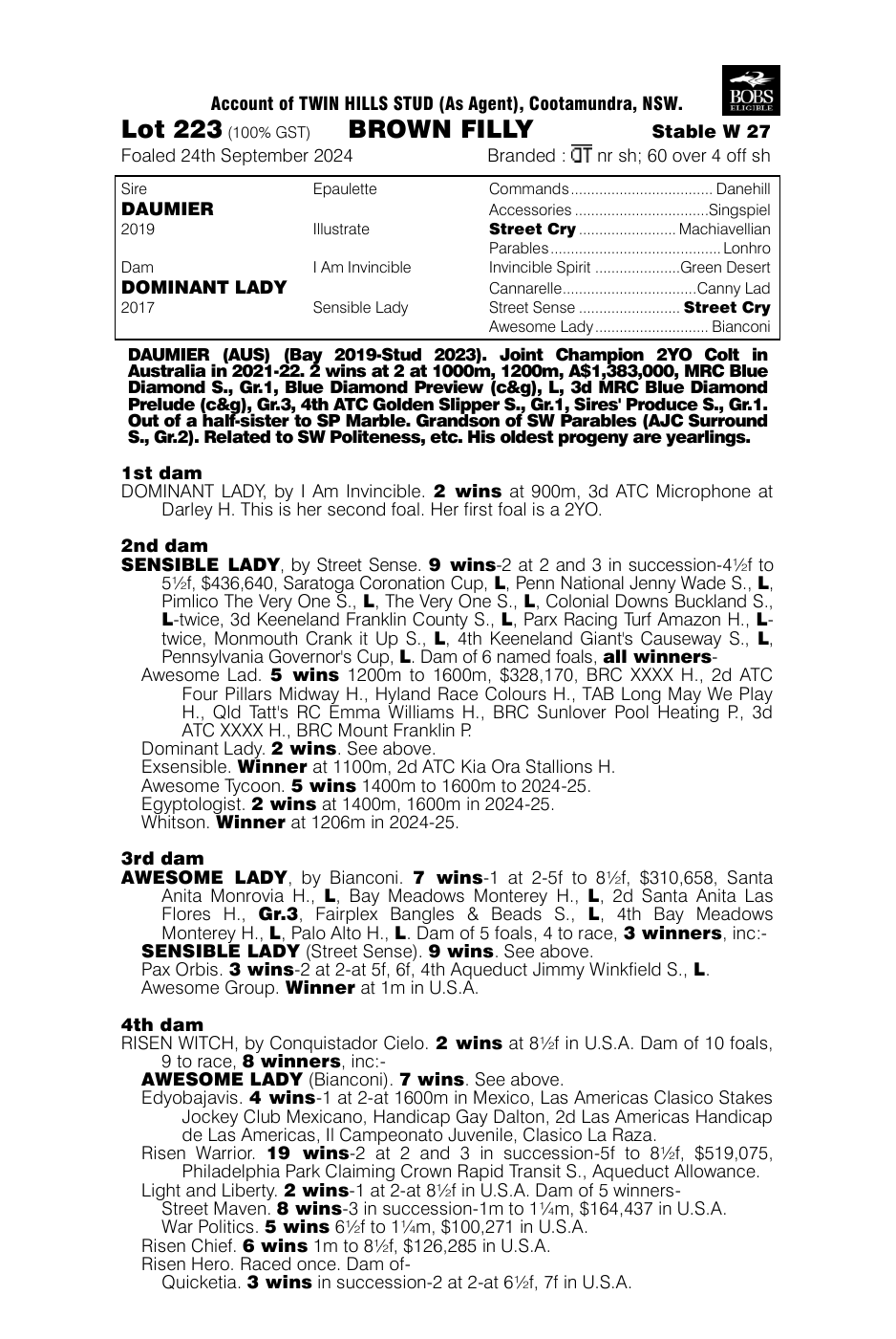 Un-named (Daumier - Dominant Lady) - Prime Thoroughbreds