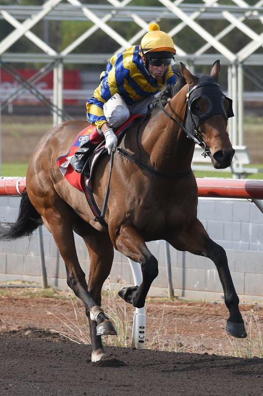 RAKITIKI SALUTES AGAIN ON DAY 4 OF THE CARNIVAL - Neil Dyer Racing