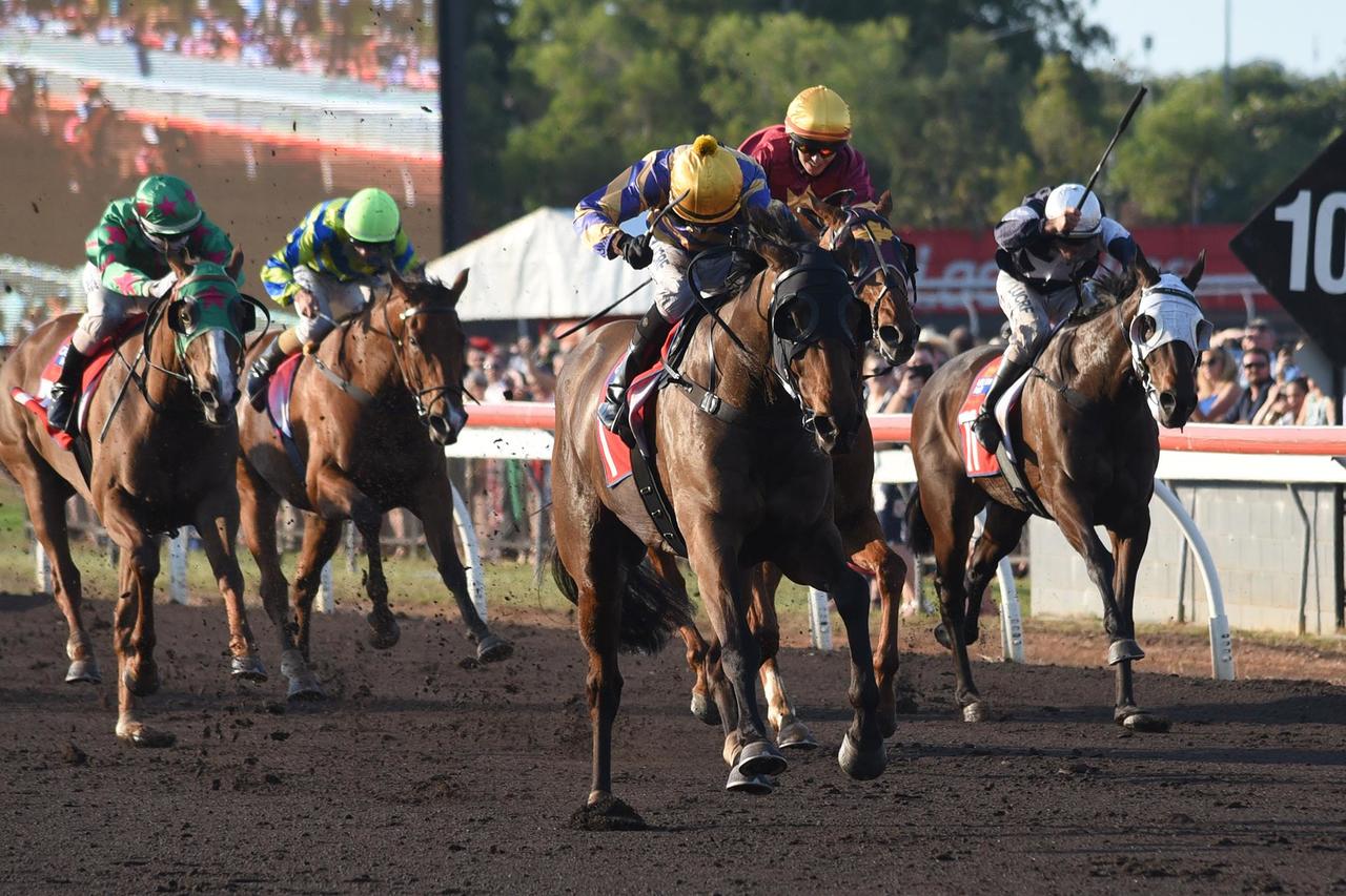 ROYAL REQUEST SALUTES IN 2017 DARWIN CUP - Neil Dyer Racing