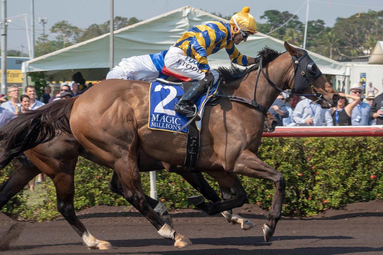 ARCTIC SONG GOES BACK TO BACK - Neil Dyer Racing