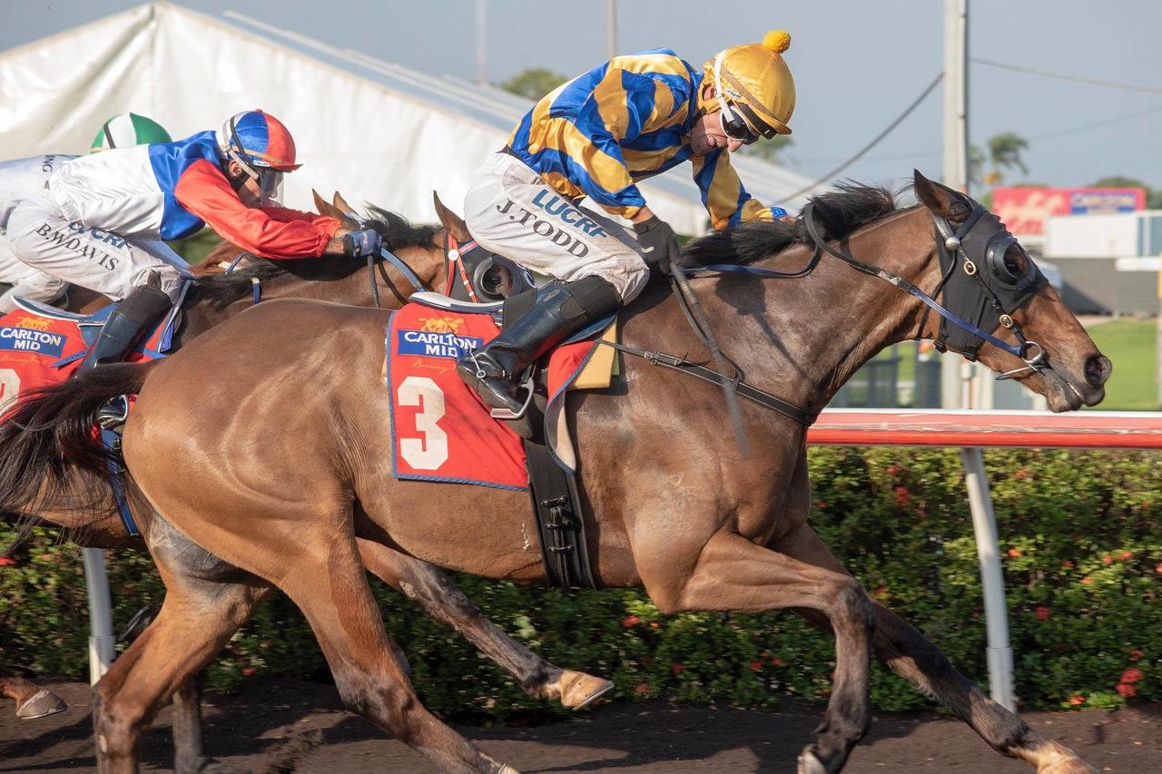 POT BLACK WINS 2018 DARWIN CORPORATE PARK CUP - Neil Dyer Racing