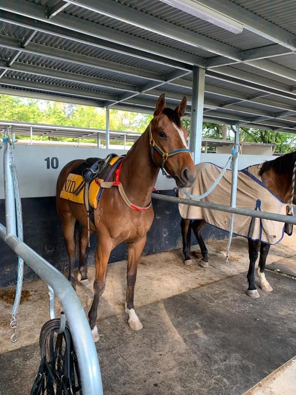 Take a look at this future star! - Neil Dyer Racing