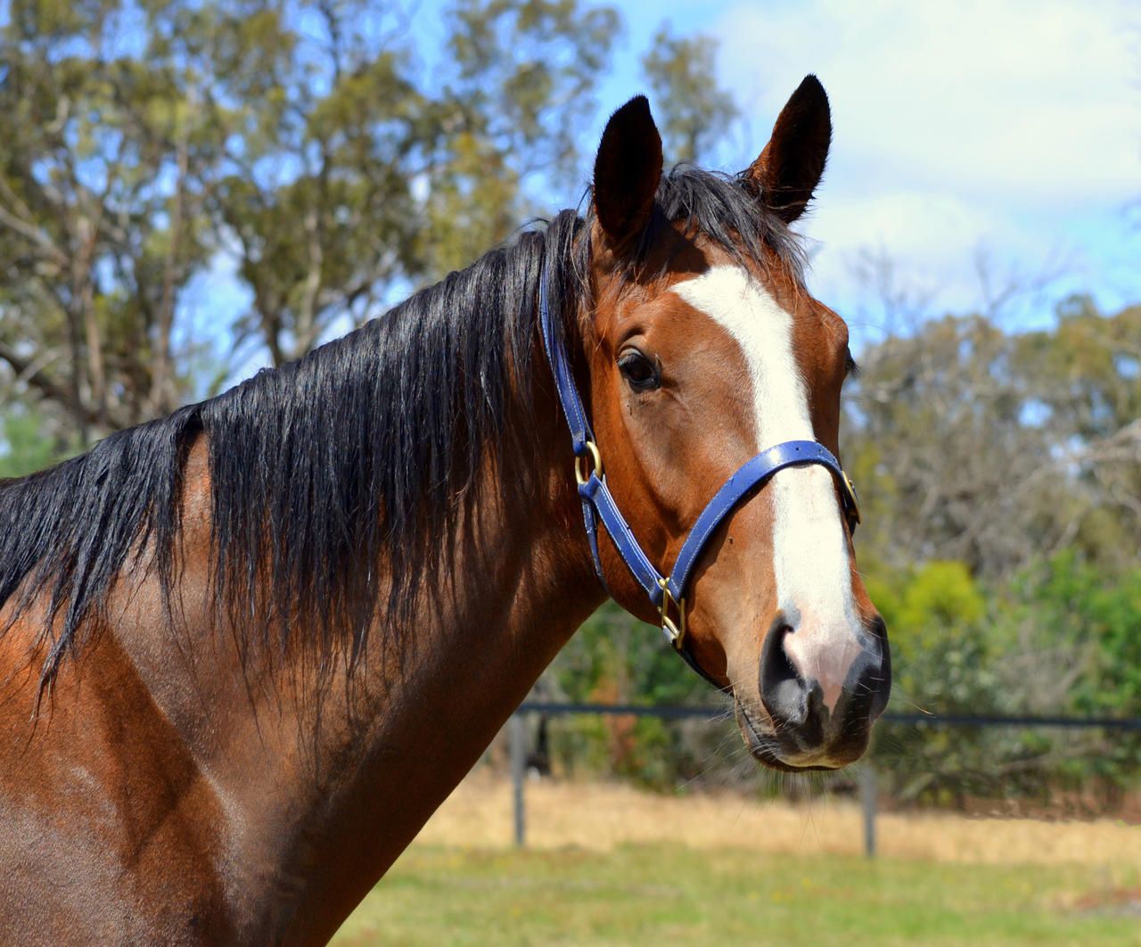 The perfect Christmas gift! - Neil Dyer Racing