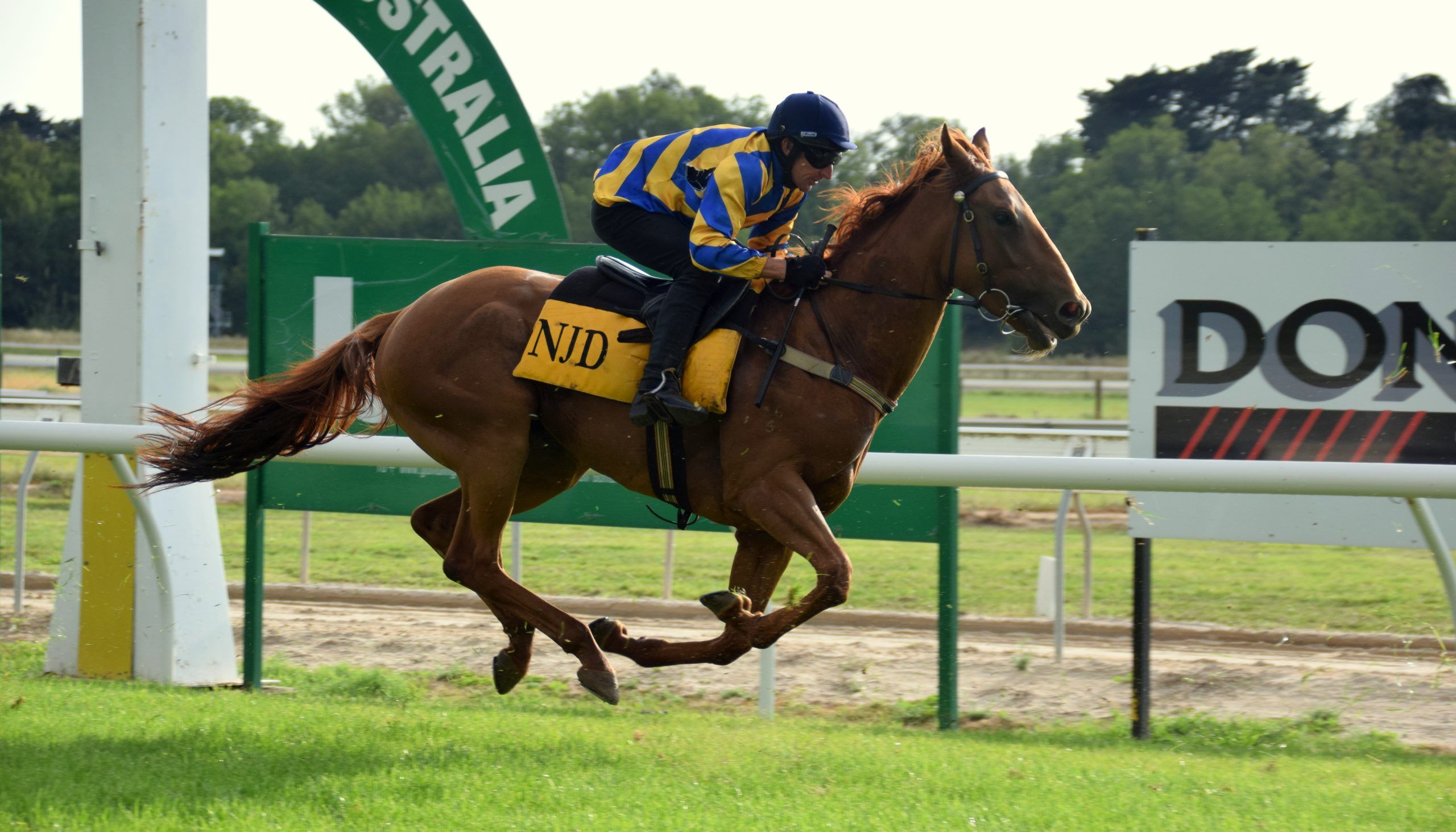 Neil Dyer Racing :: Latest News