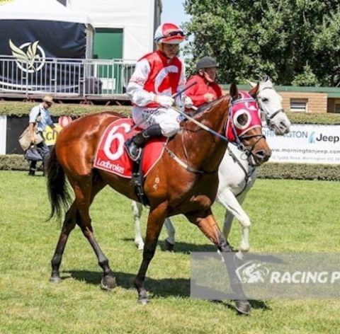 New ownership opportunities for Spring - Neil Dyer Racing