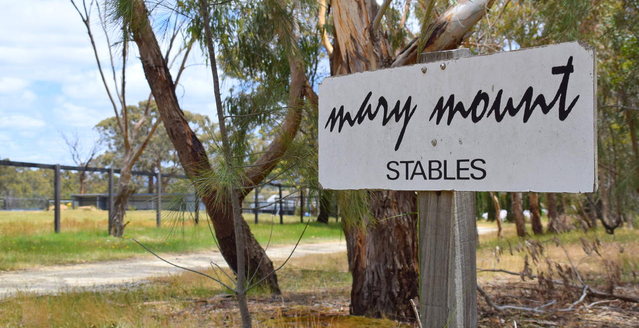 We're hiring: join a growing, dynamic stable - Neil Dyer Racing