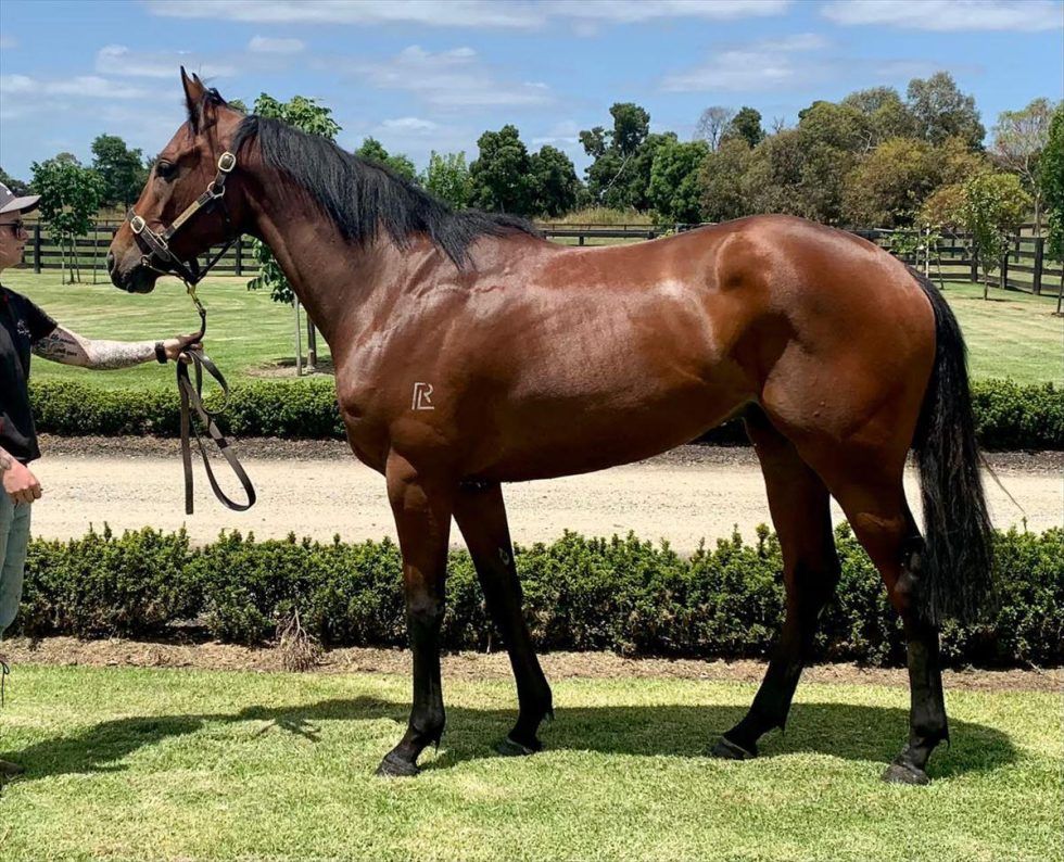 Get onboard the Darwin Derby train! - Neil Dyer Racing