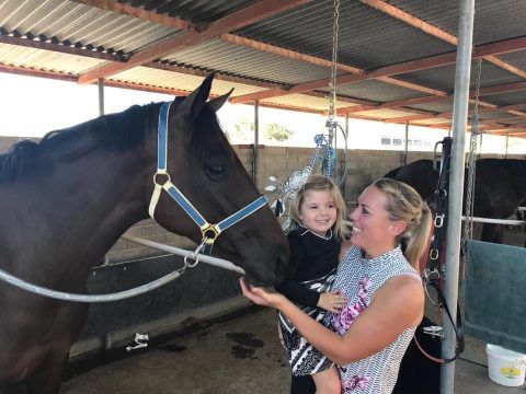 Australian Horse Trainer | Melissa Dennett Racing