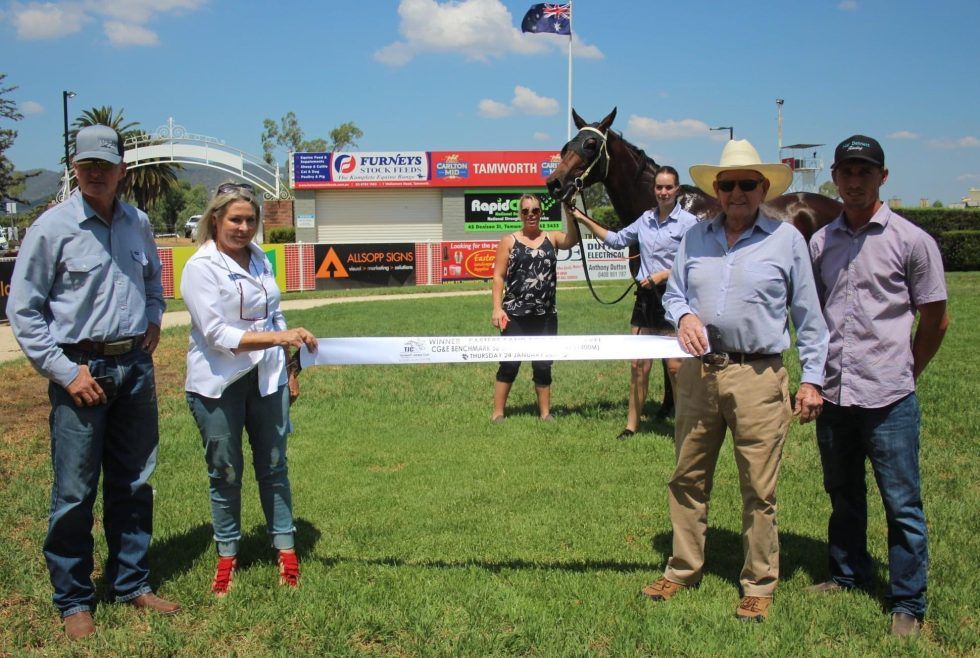 Horse Racing Shares | Thoroughbred Race Horses for Sale in Australia ...