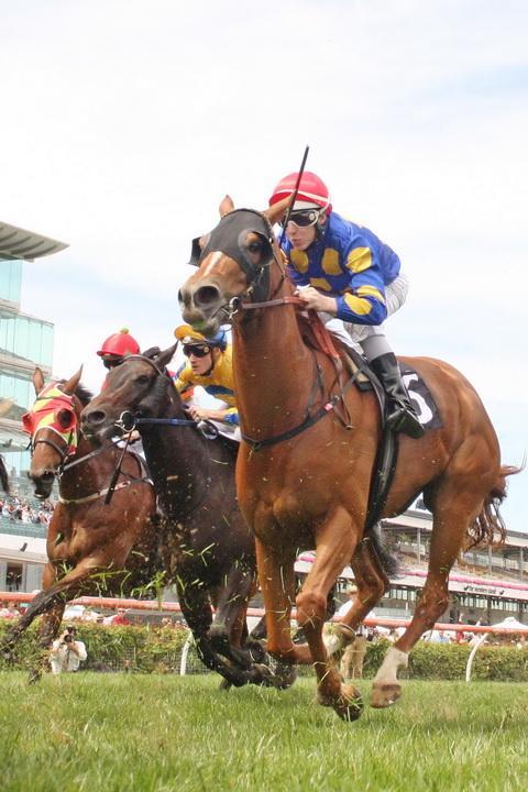 "WHY, THE LONG NOSE!" VALROUZ WINNER IN PHOTO FINISH AT PAKENHAM - Doug ...