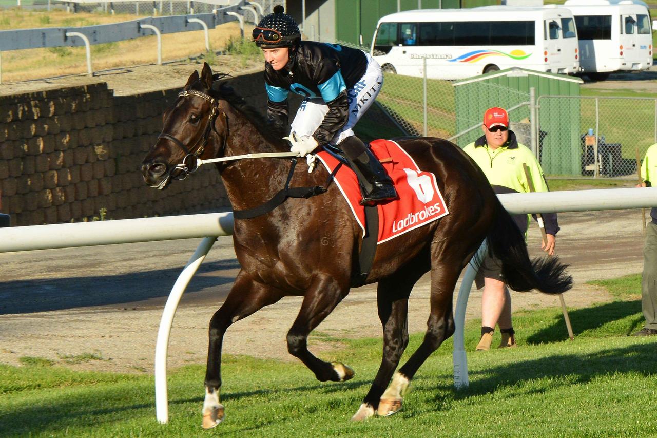 UNIQUE DOUBLE - Allison Sheehan Racing