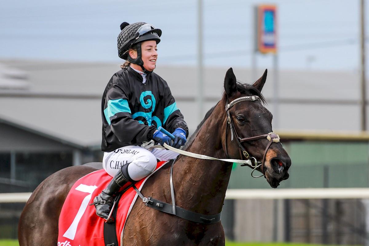 FRIEND FIRES - Allison Sheehan Racing