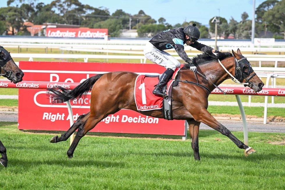 Back to Back wins - Allison Sheehan Racing