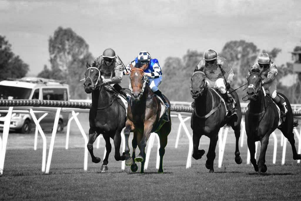 Hemsworth – Jan 21, 2023 – Gatton - Australian Bloodstock