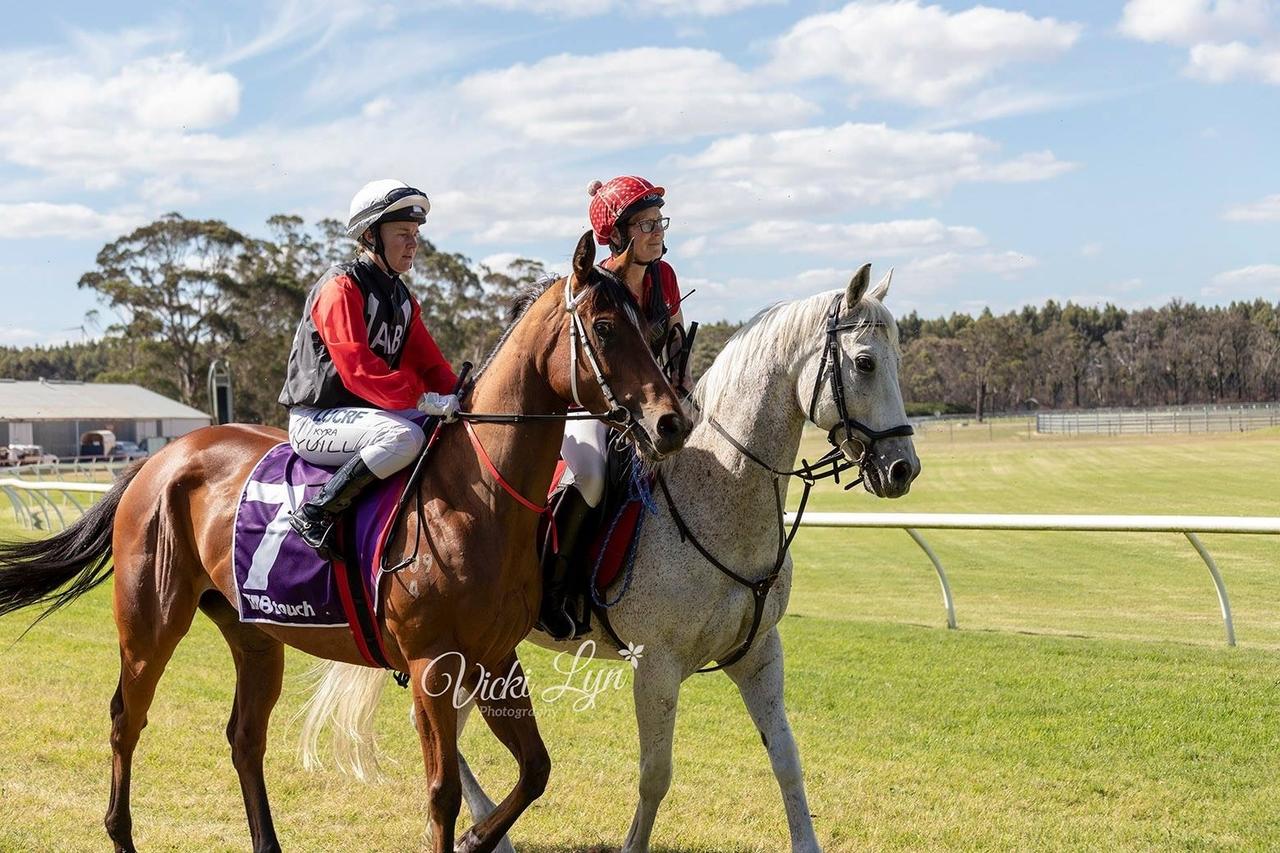 3 runners at Pinjarra - Bazeley Racing Stables