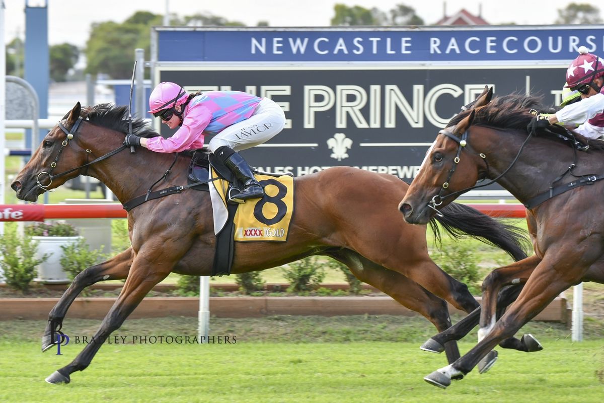 Australian Horse Trainer | Austin Racing | Warwick Farm | NSW | Australia