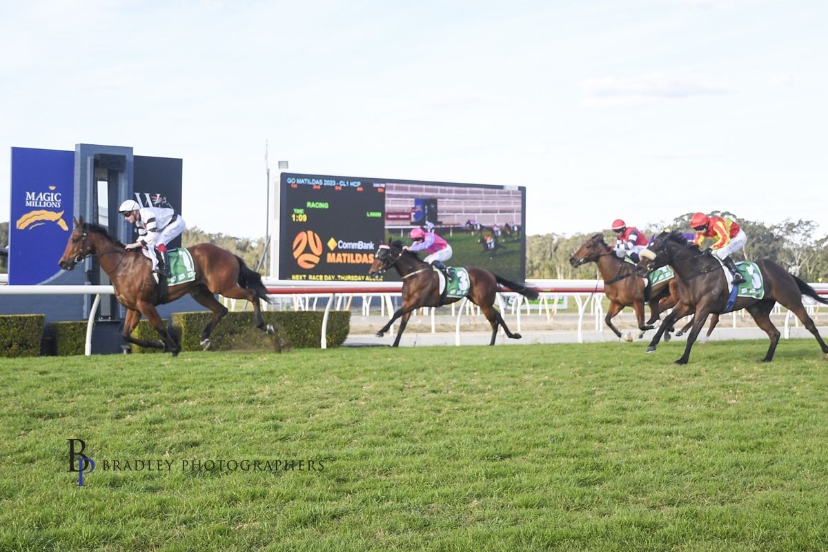 Australian Horse Trainer | Austin Racing | Warwick Farm | NSW | Australia