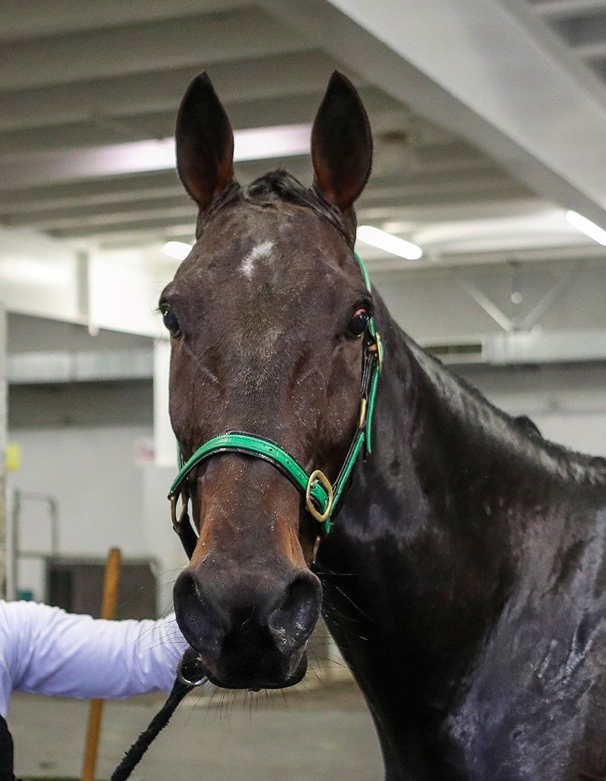 Rubira Out -Anything Goes In - Purdon Racing
