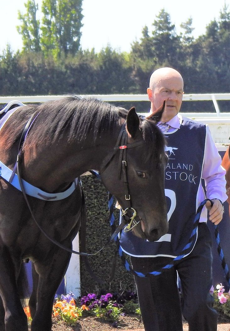 Cup Week Start for Captain Roy After Valiant Effort - Purdon Racing