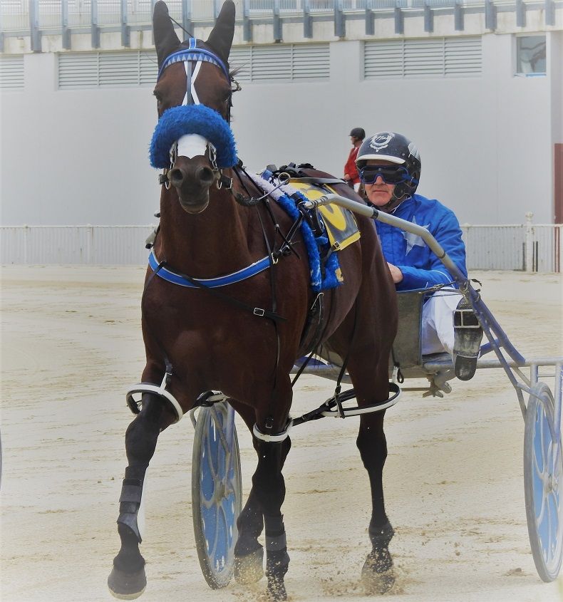 Don't Stop Dreaming Back.Sherlock and 7 Others to Trial Monday - Purdon ...