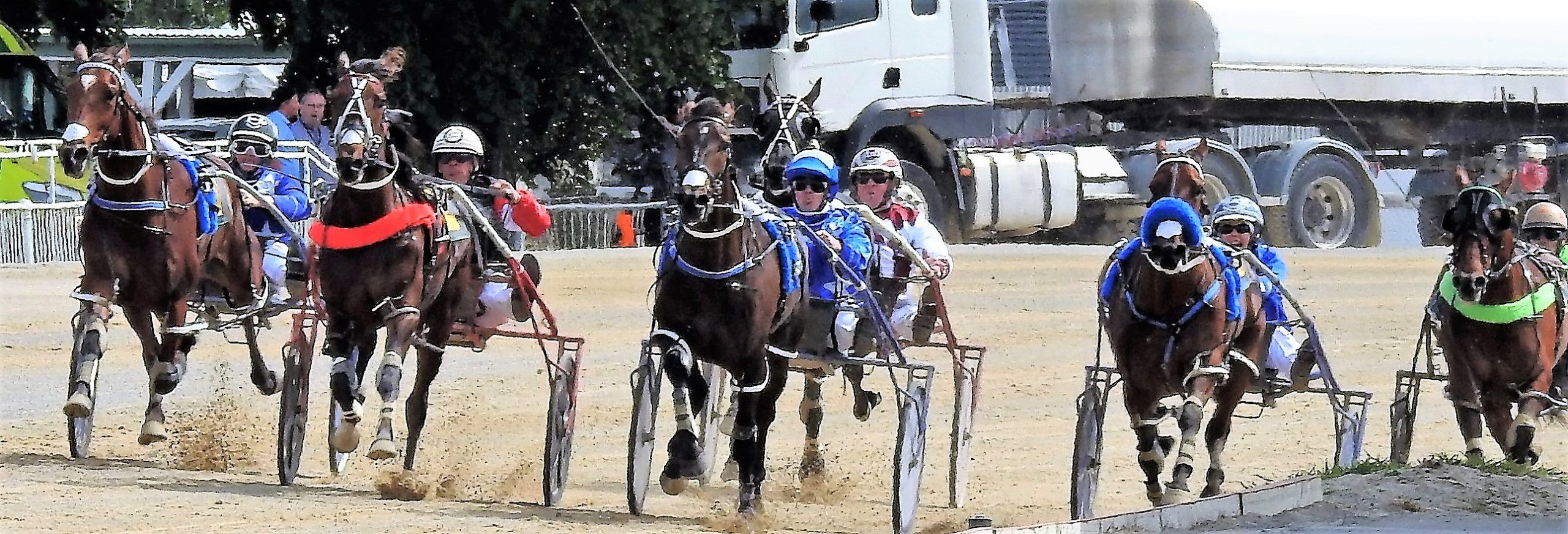 Stable - Purdon Racing