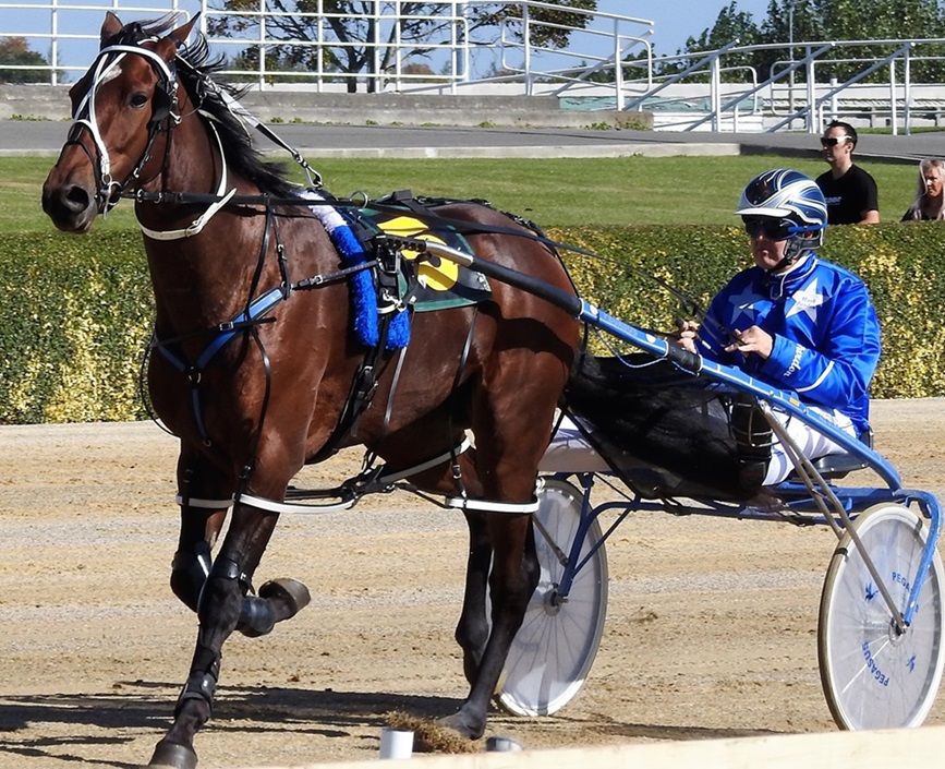 Stable - Purdon Racing