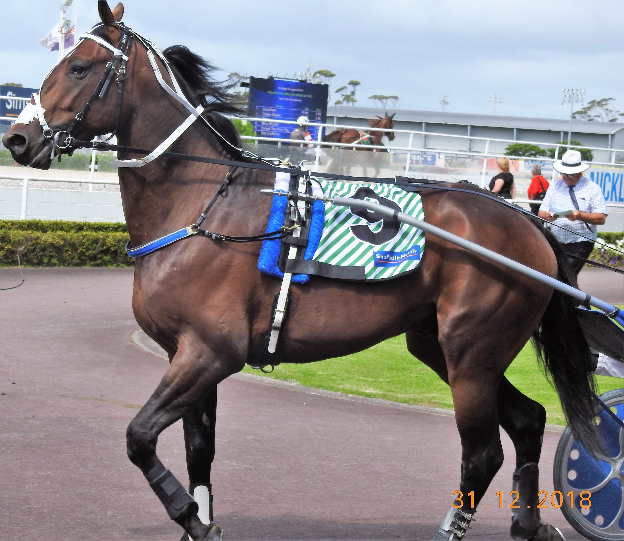 Oscar Aims at Shooting Another Goal - Purdon Racing