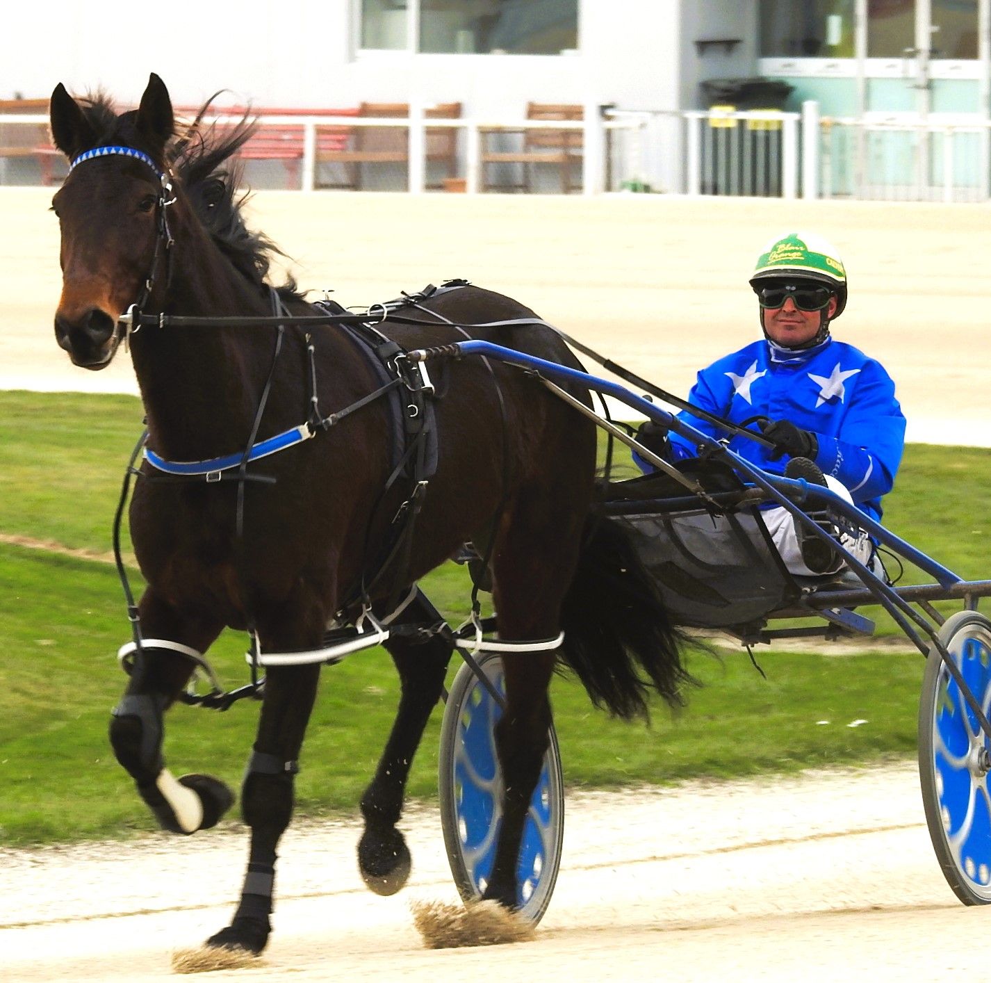 Mr Kaplan Nathan's Best at Addington - Purdon Racing
