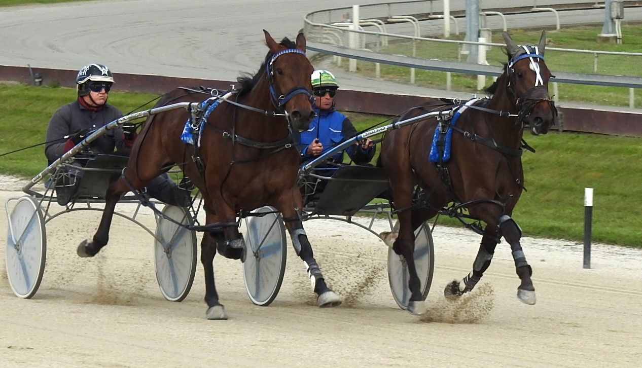 Stable - Purdon Racing