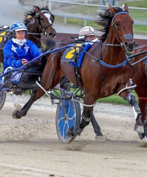 Chase a Dream Trial: Georgie Best Setback. Andretti Enigma - Purdon Racing