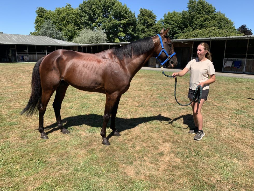 "I'll Take One" Brooke on Possible Hattrick at Alexandra Park - Purdon ...