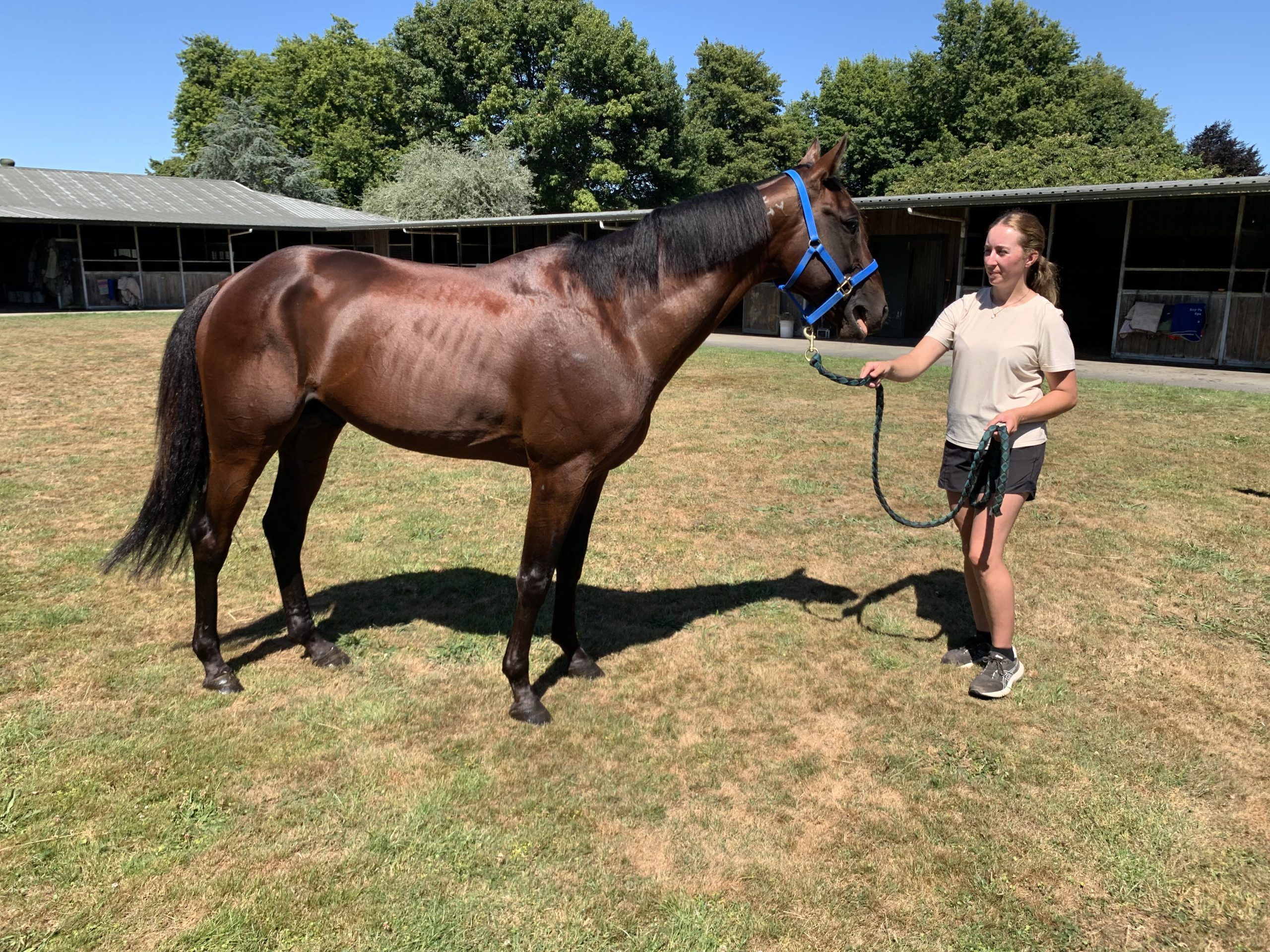 Mark (2) Purdon 2025 -Busier than Ever - Purdon Racing