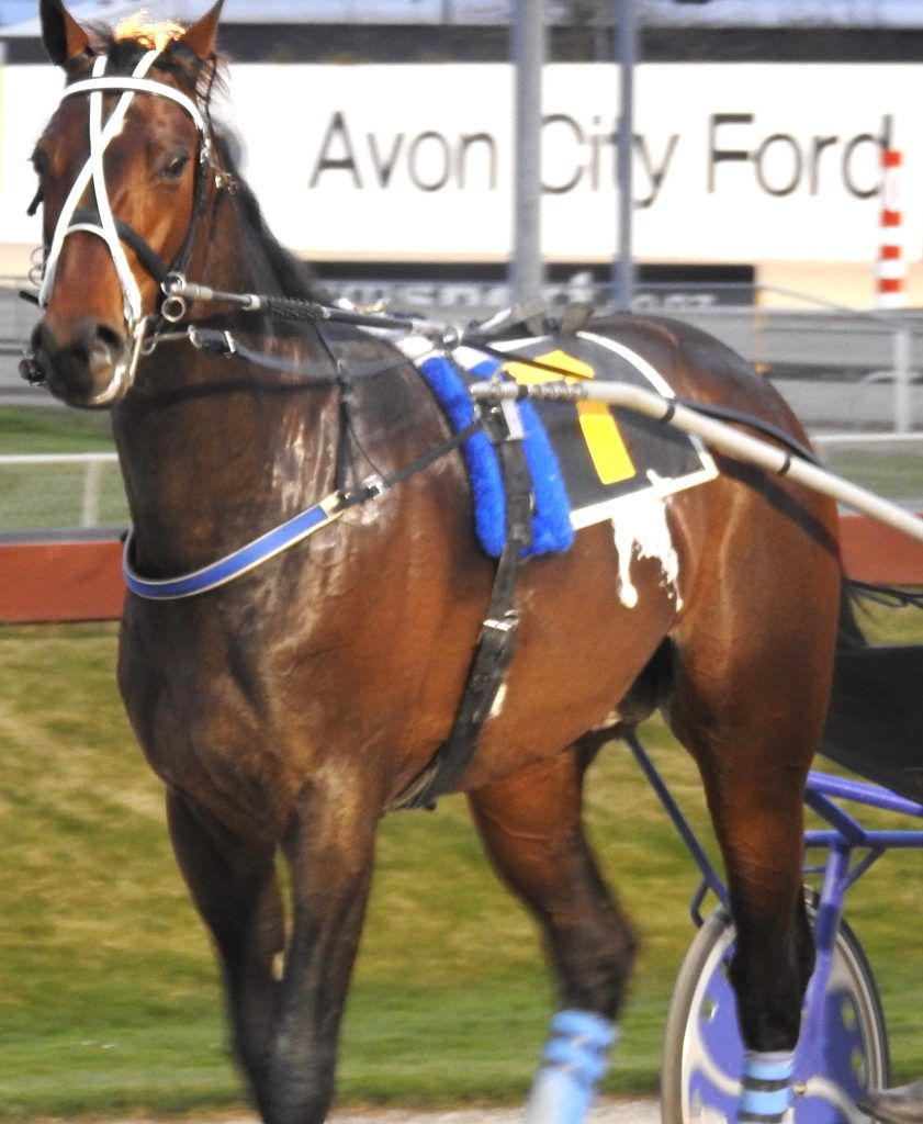 Oscar Achieves Milestone. Don't Stop Dreaming Huge in Cranbourne Cup ...