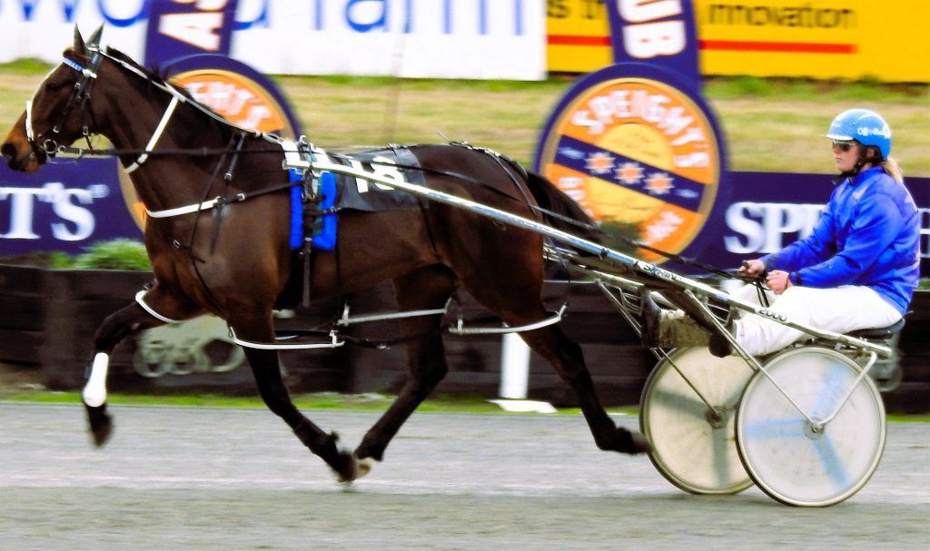 Echoes of Princess Tiffany in Juvenile Debut Friday - Purdon Racing