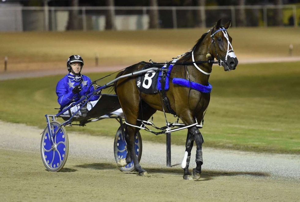Rubira's Secret Derby Weapon - Purdon Racing
