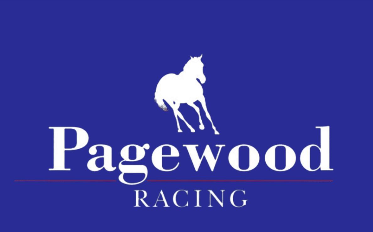 Australian Horse Trainer - Julie Scott