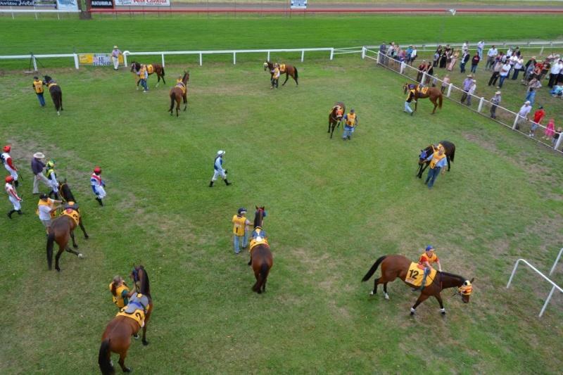 Mayyada Heads To Kempsey On Saturday - Steve Hodge Racing