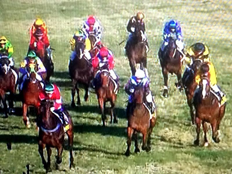 Lucky Ima Cugat Runs A Solid Second At Scone - Steve Hodge Racing